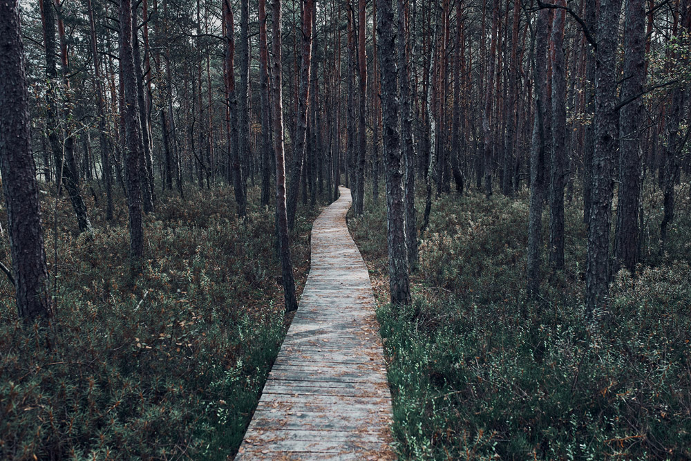 Navigating Early Recovery - Acceptance House Navigating Early Recovery - Acceptance House